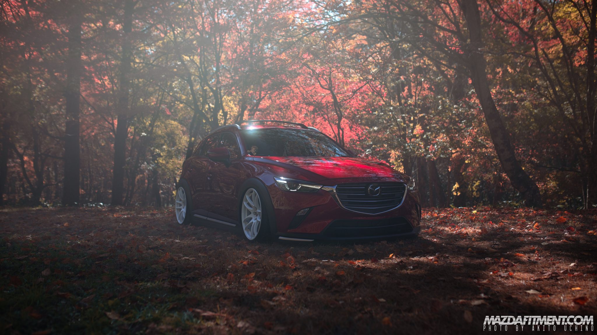 AUTUMN BEAUTY – Mazda Fitment