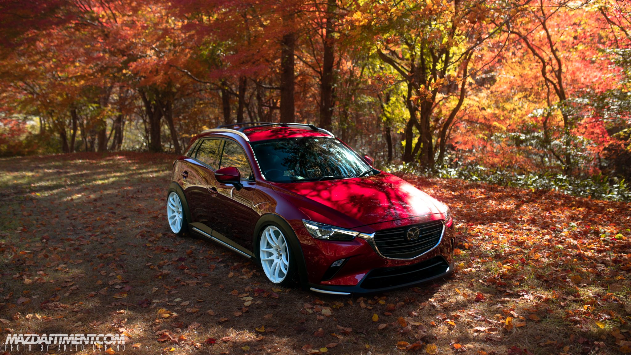 AUTUMN BEAUTY – Mazda Fitment