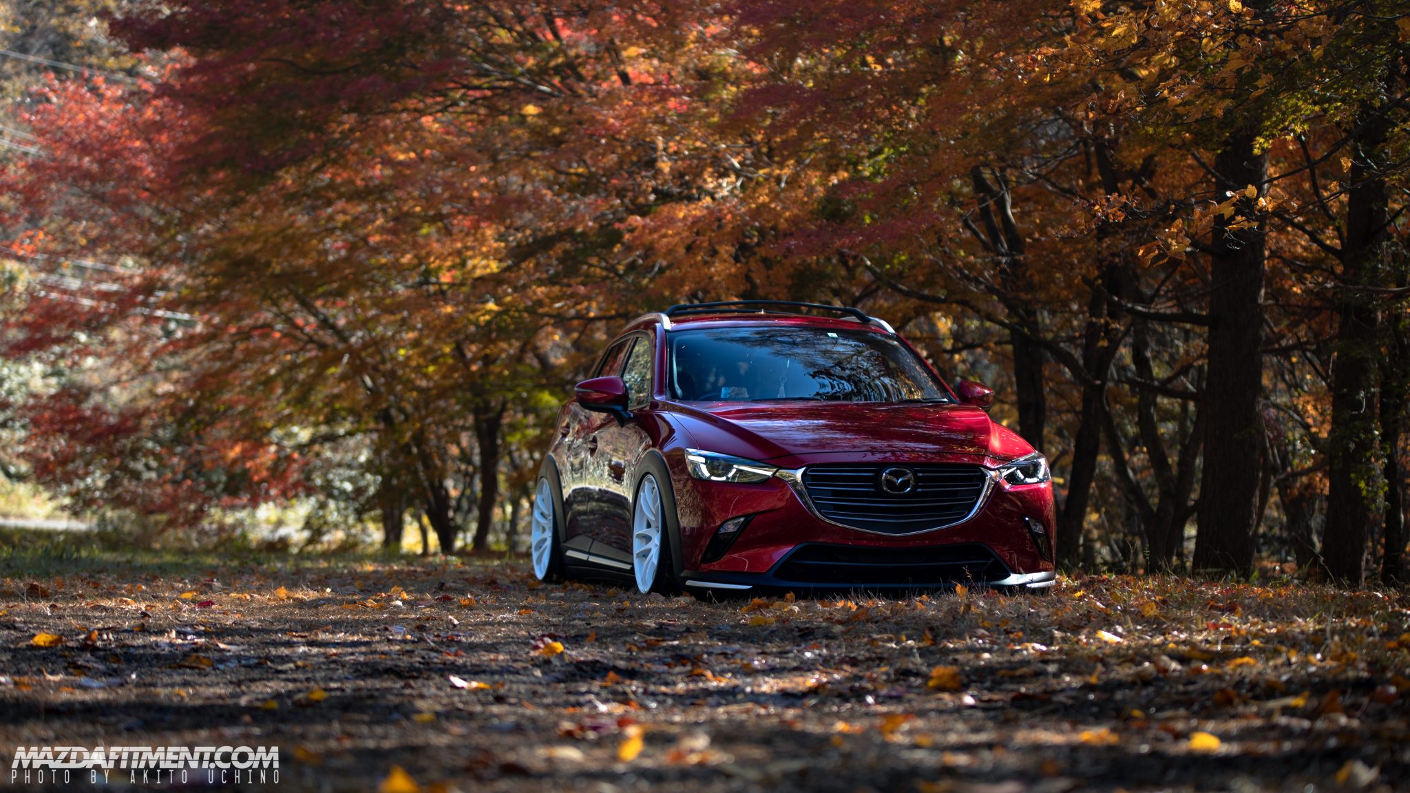AUTUMN BEAUTY – Mazda Fitment