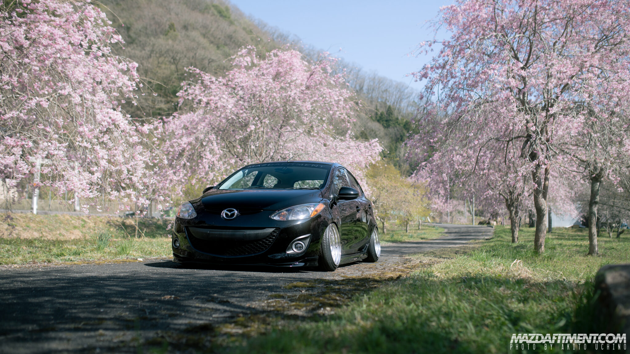 CHERRY BLOSSOM – Mazda Fitment